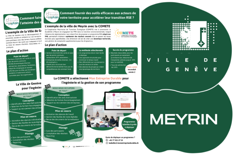 How do I fill in the EcoVadis questionnaire?